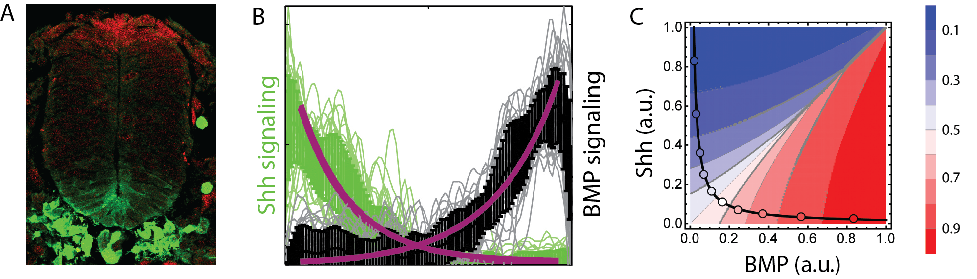 RESEARCH – KICHEVA LAB